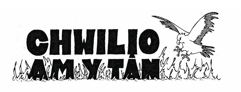 Stori Fer: Chwilio am y Tân